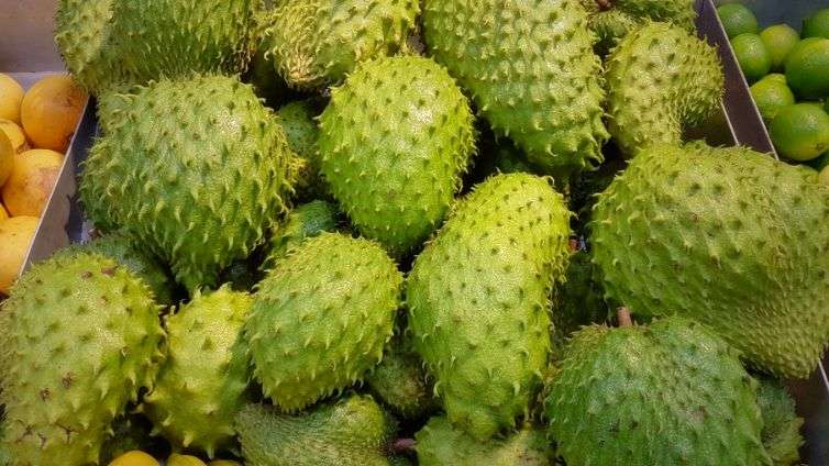 Exploring the Wonders of Soursop Fruit